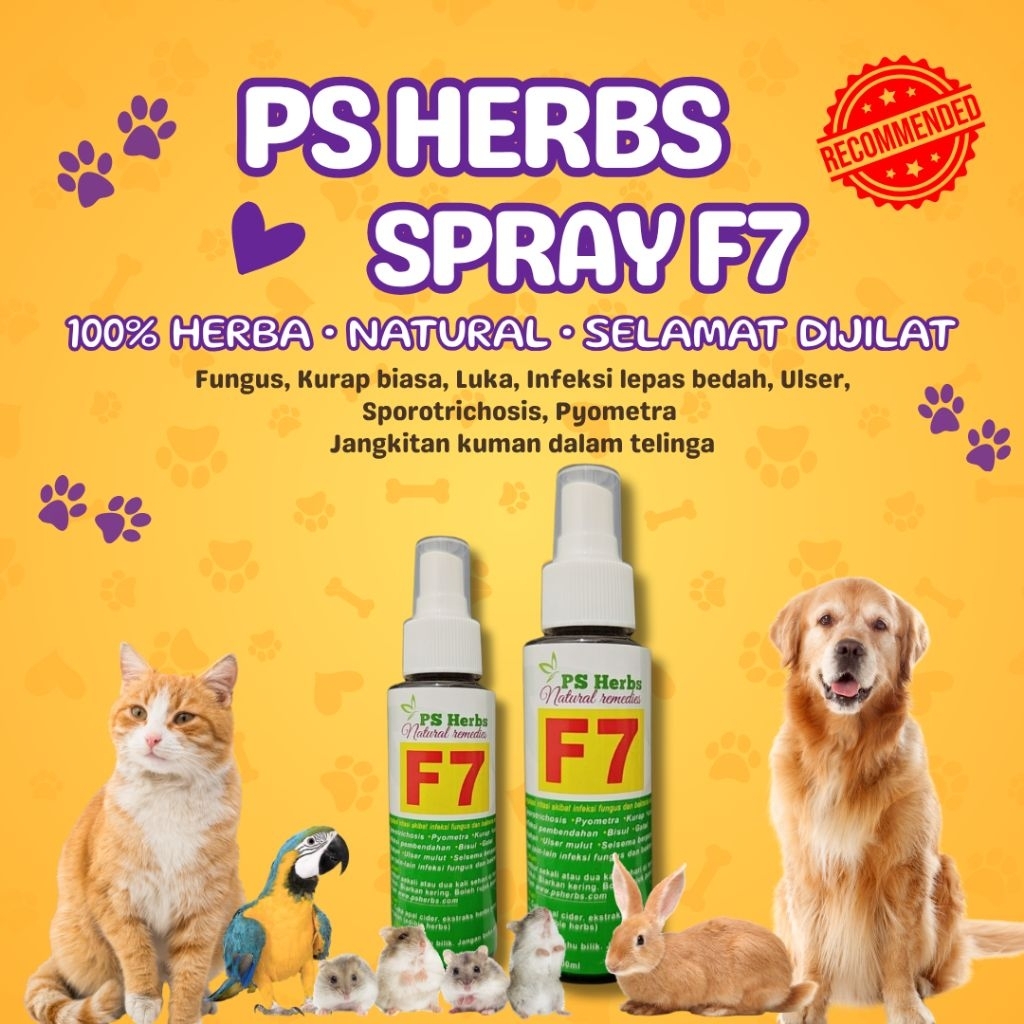 PS Herbs (HQ) Spray F7 Pyometra, Luka, Kurap, Sporo, Kudis | Shopee ...