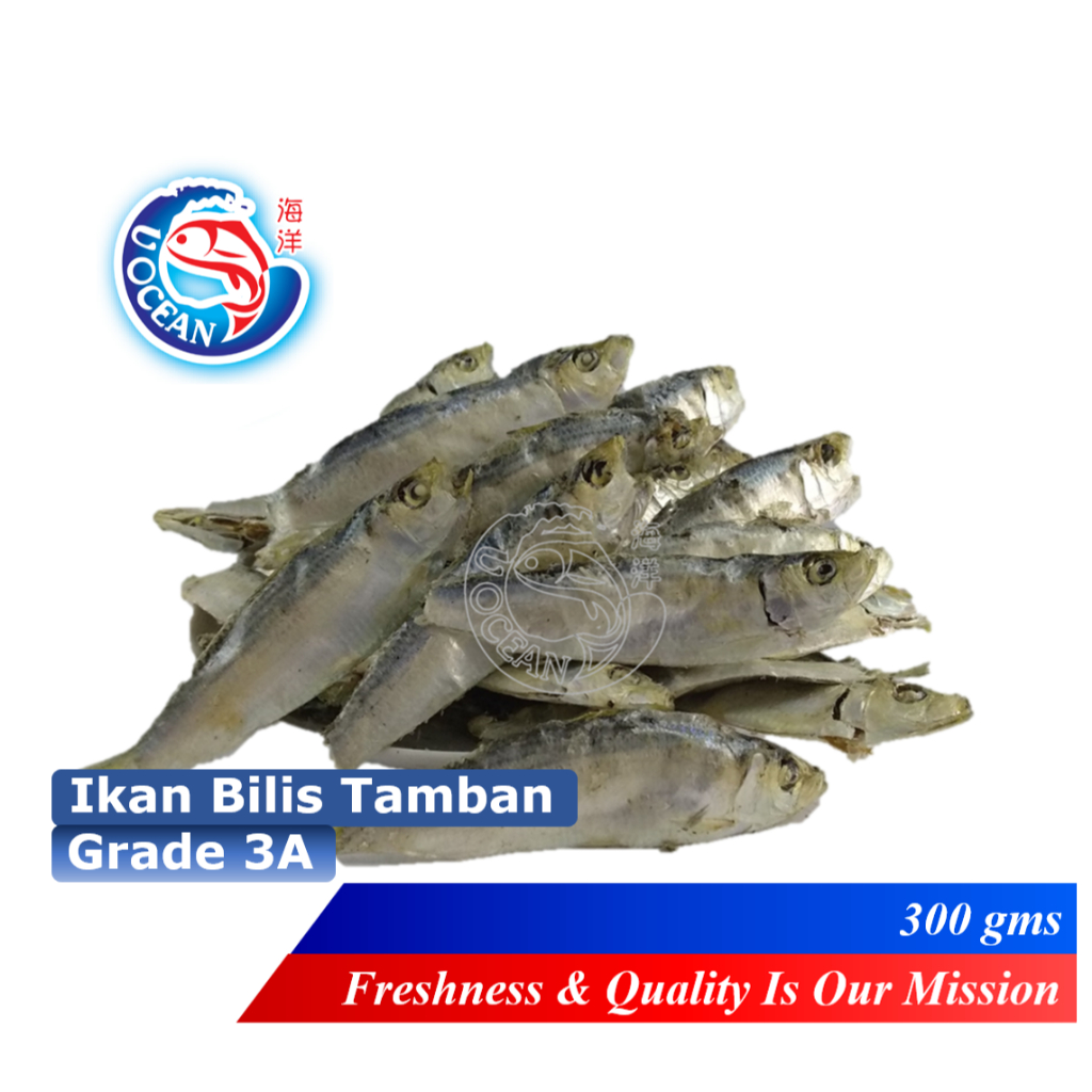 Ikan Bilis Tamban - Grade 3A (300 gms) | Shopee Malaysia