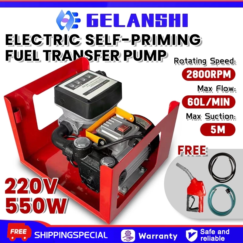 Electric Diesel Pump 220V Oil Fuel Pump 550W High Power Transfer Pump ...