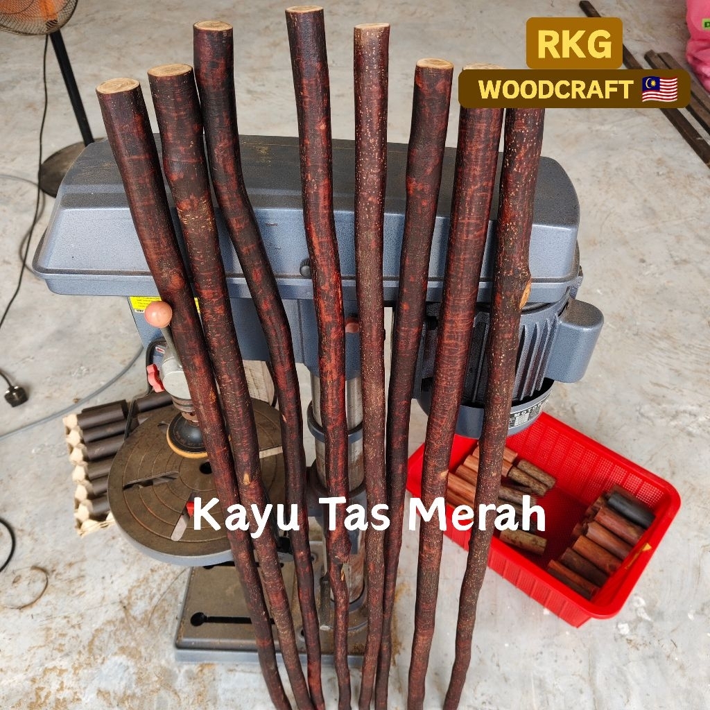 【Tongkat Kayu Tas Merah】 Hujan Panas || Penunduk Gadja (44inci/20inci ...