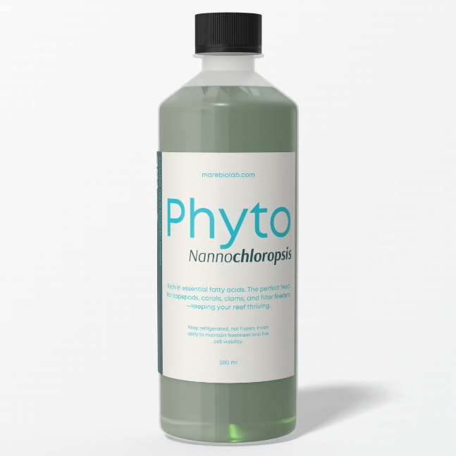 Phyto - Live Nannochloropsis Phytoplankton Culture – Natural Microalgae ...