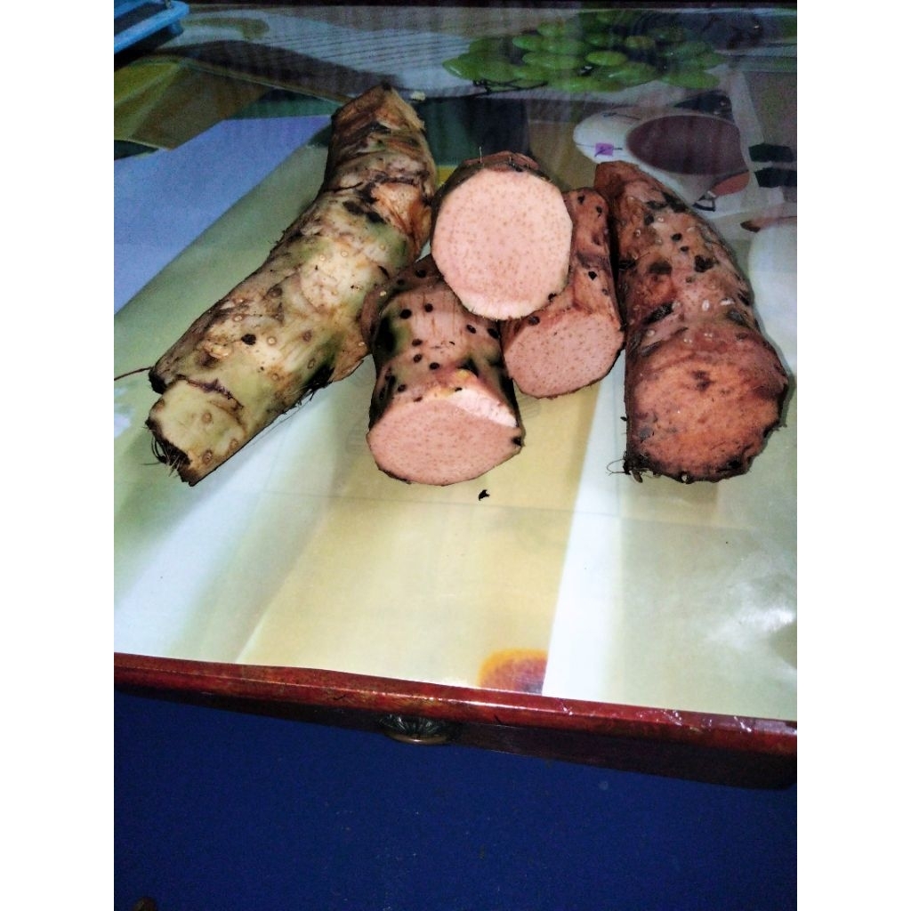 ubi geli freh 200gm.15.00. | Shopee Malaysia