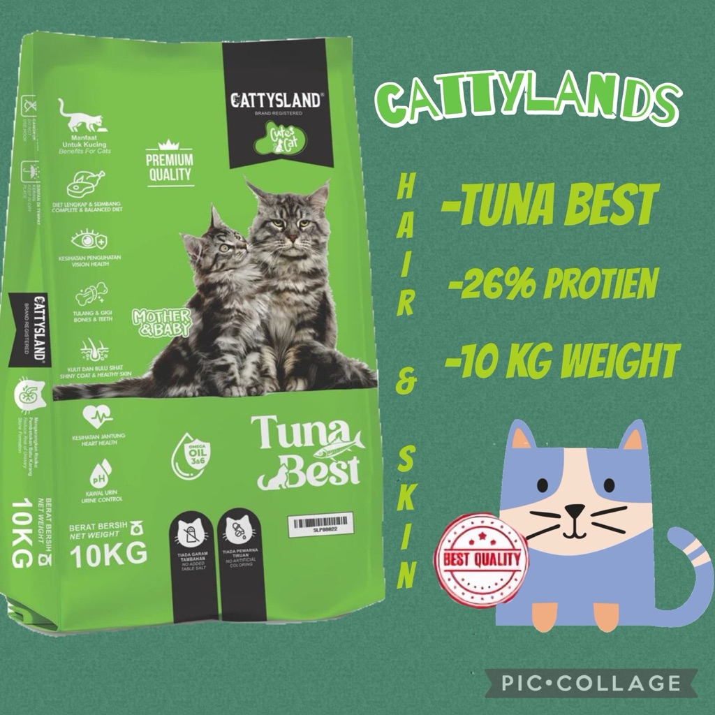 Mother & Baby Cat Food 10kg /Makanan Kucing(Cutes Cat)Cattysland ...