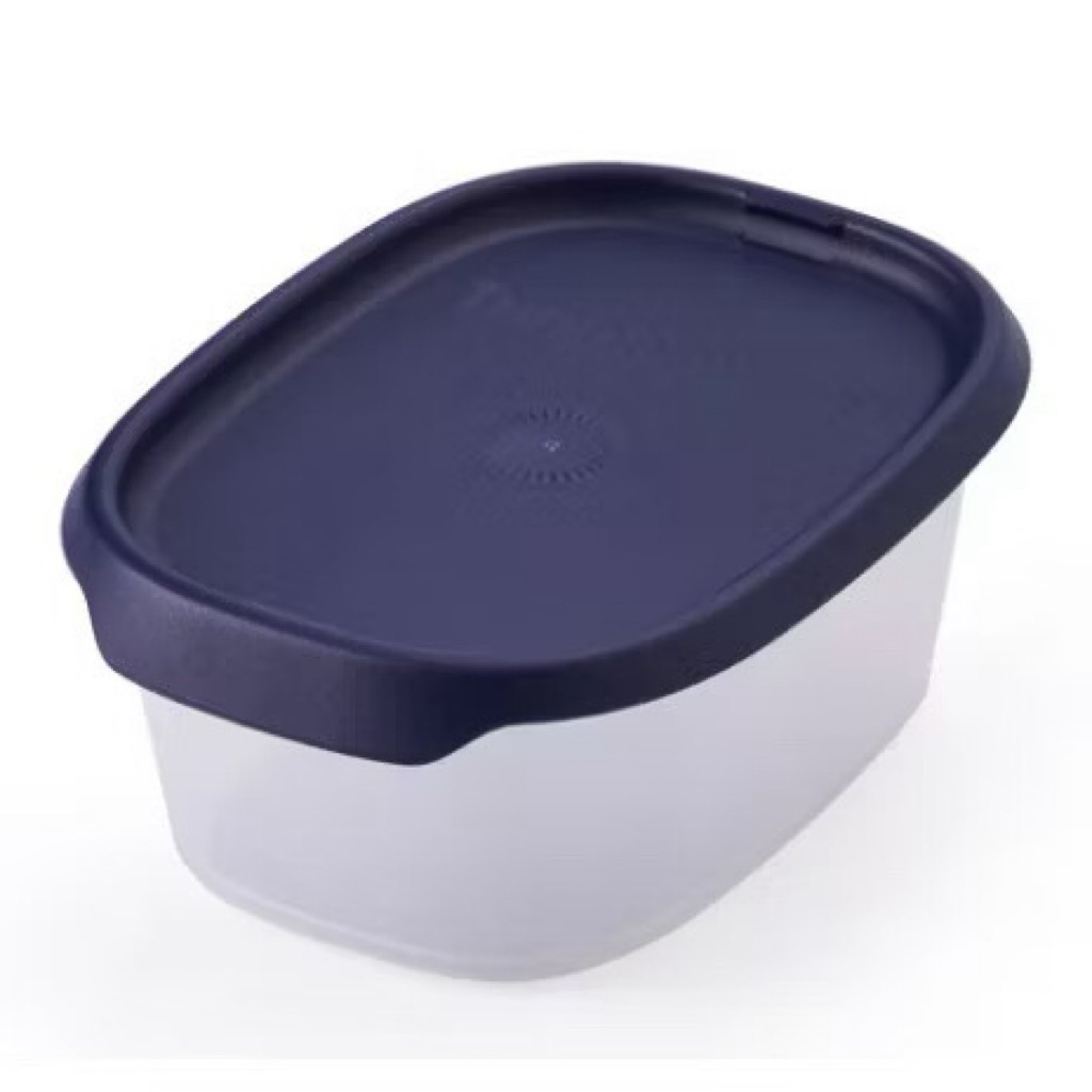 Tupperware One Touch Fresh 540ml (1pc) | Shopee Malaysia