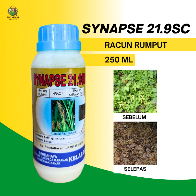 Synapse 21.9SC Herbicide Racun Rumput Padi Racun Padi Burung Racun ...