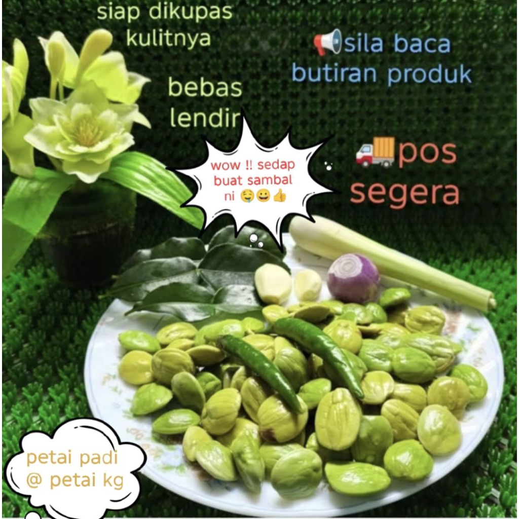 Petai Jeruk Isi shj full bekas 300g +- | Shopee Malaysia
