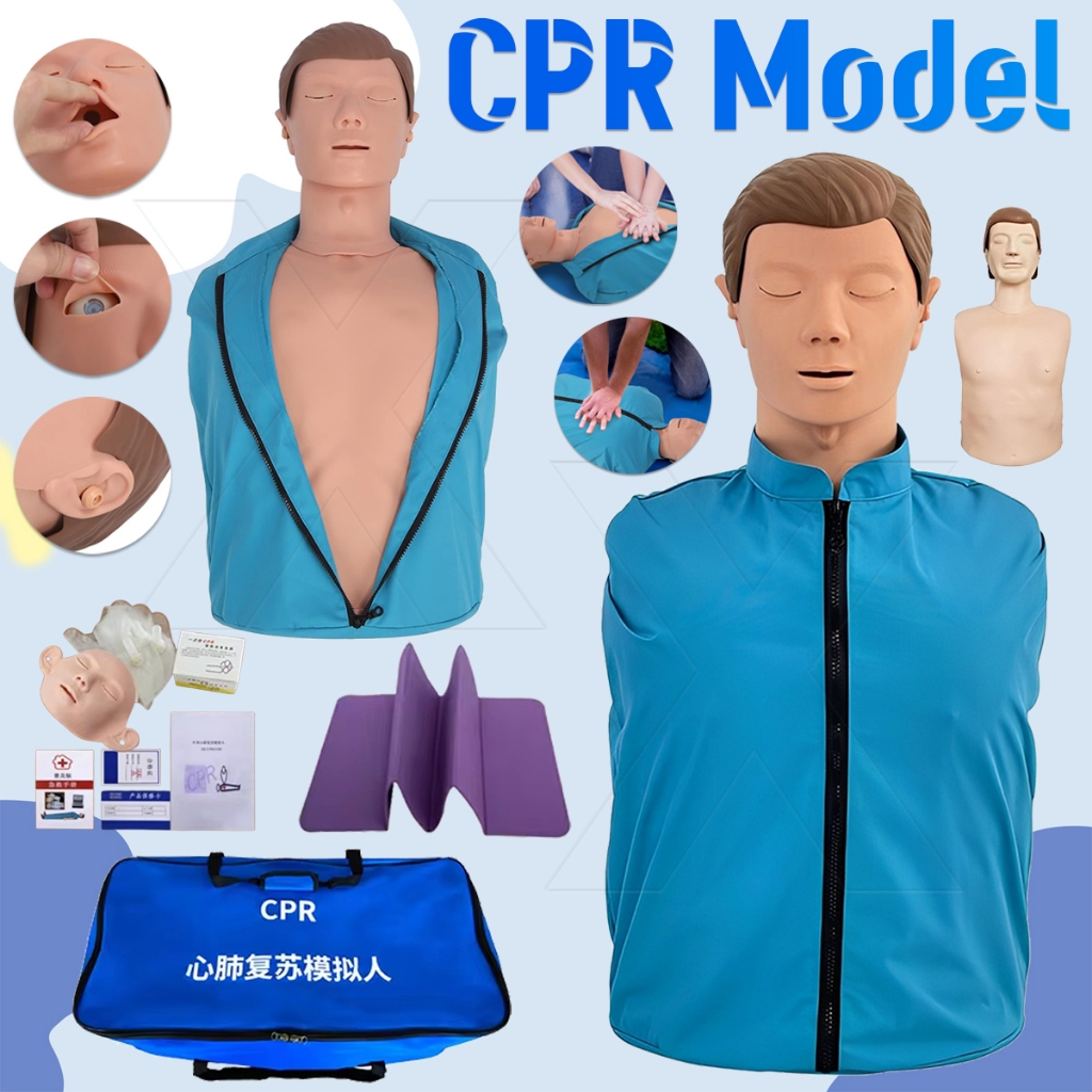 CPR Manikin Model For First Aid Half Body Adult CPR Manikin ...