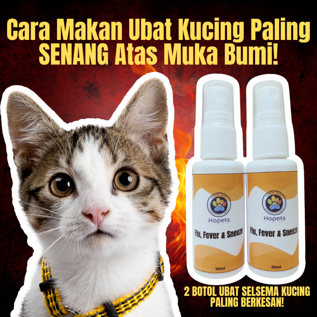 Ubat Selsema Kucing - Ubat Selsema, Demam, Bersin Kucing Spray Hopets ...