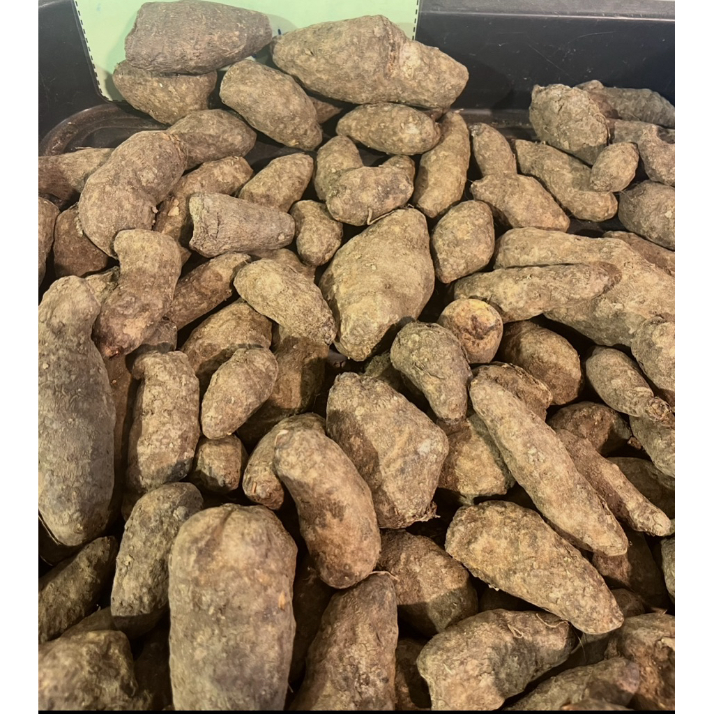 Karunai Kilangu @ Elephant Foot Yam dari INDIA | Shopee Malaysia