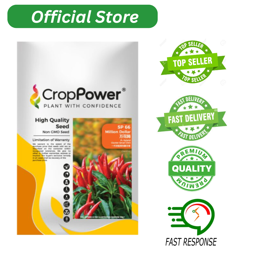 (REPACK) Biji Benih Cili Api Jambak Million Dollar SP 66 CROP POWER F1 ...