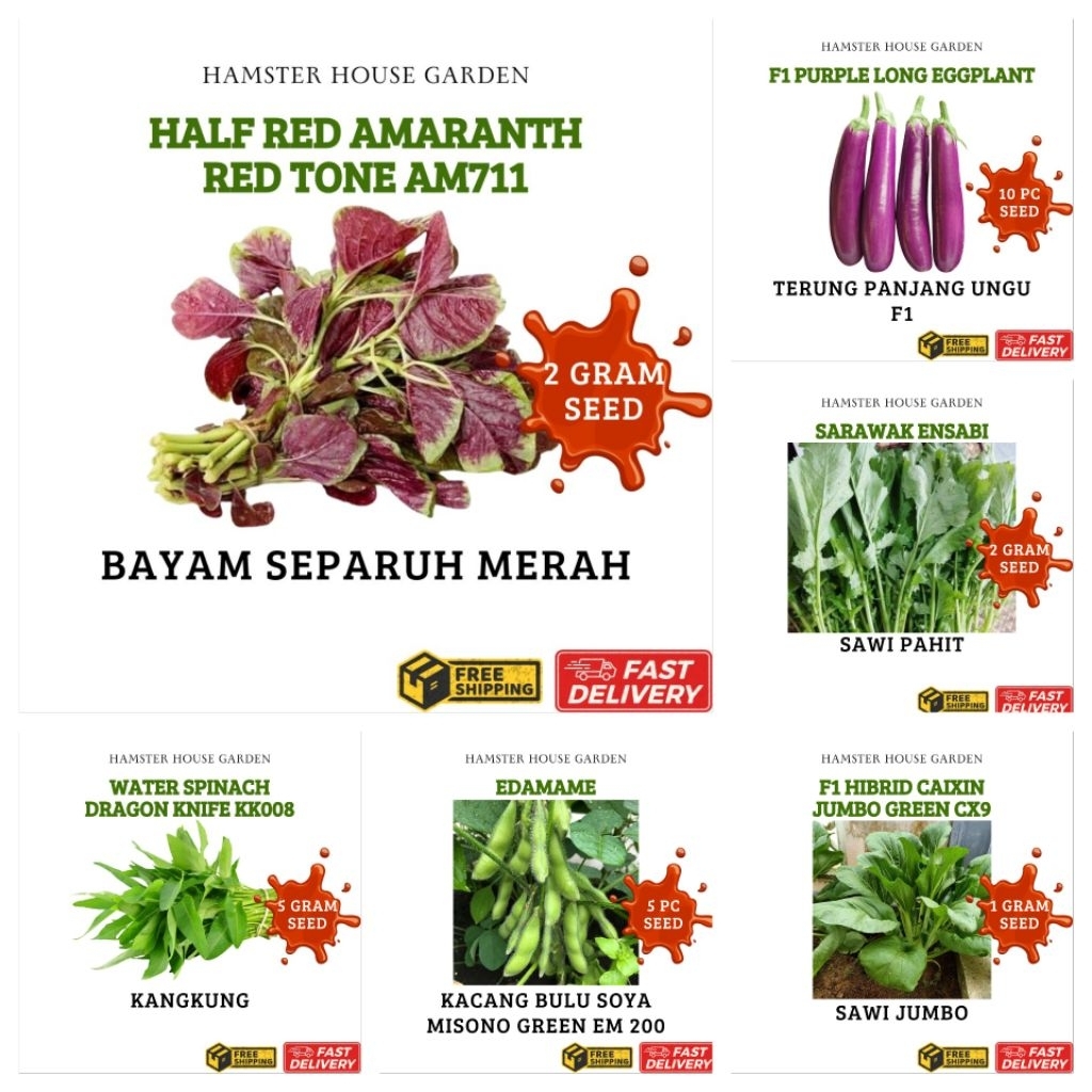 HSK PELBAGAI JENIS BIJI BENIH SAYUR BUAH KACANG MINI PACK MURAH READY ...