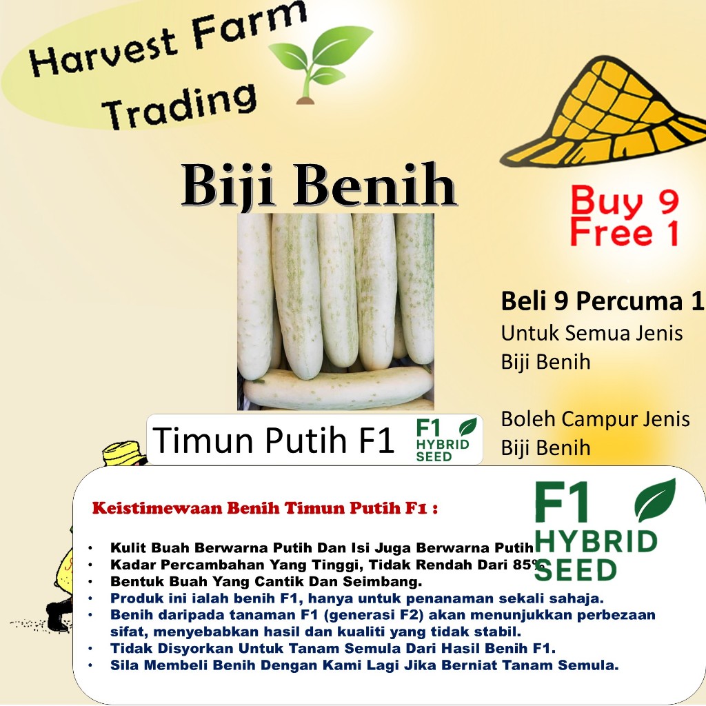 Biji Benih Timun Putih F1 10Pcs +- white cucumber seed fruit seeds ...