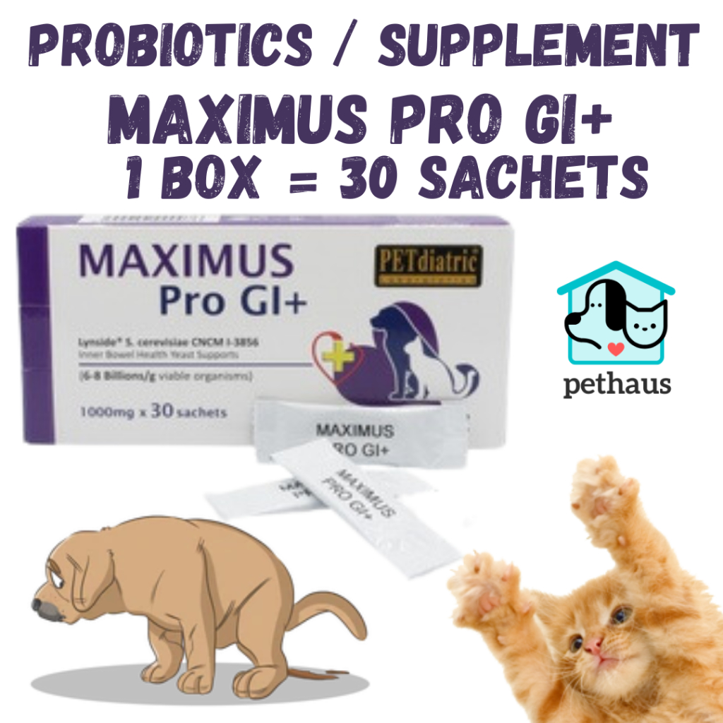 PETdiatric Maximus Pro GI+ 30 Sachets PROBIOTICS FOR CAT DOG DIARRHEA ...