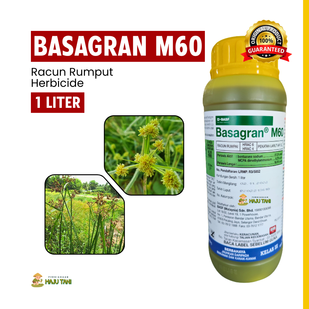 Basagran M60 Racun Rumput Basagran Herbicide Racun Serap Jenis Selektif ...