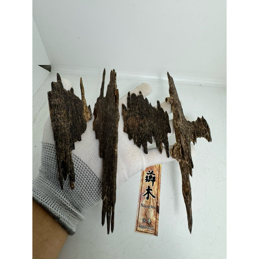 Double Super Grade AA Agarwood 高等级树心沉香 | Shopee Malaysia