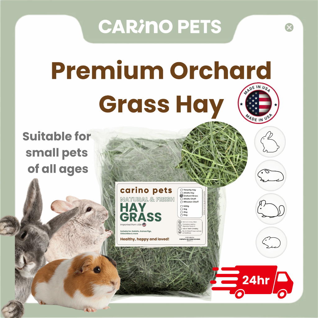 [24HR SHIP] PREMIUM ORCHARD GRASS HAY Imported Timothy Alfalfa Lucerne ...