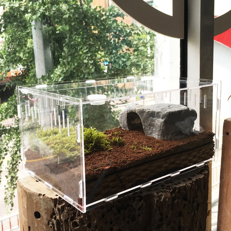 "Reptile Acrylic Box Breeding Habitat Snake Spider Lizard Scorpion ...