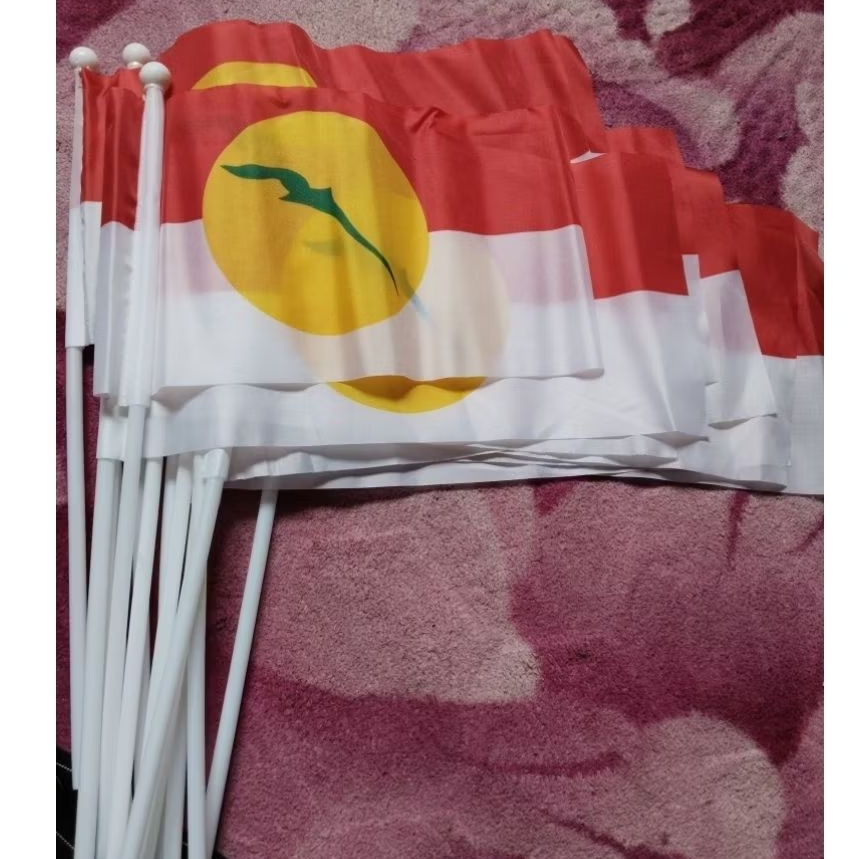 Bendera tangan Parti UMNO | Shopee Malaysia