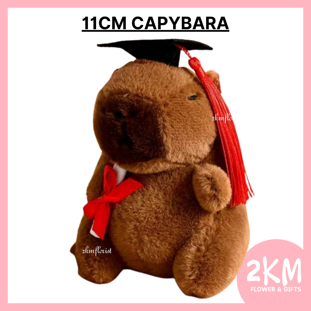 11CM CAPYBARA GRADUATION BEAR Plush Toy Cute Capibara Plushie Toy Anak ...