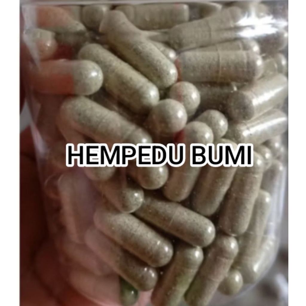 HEMPEDU BUMI HALAL (100 biji) | Shopee Malaysia