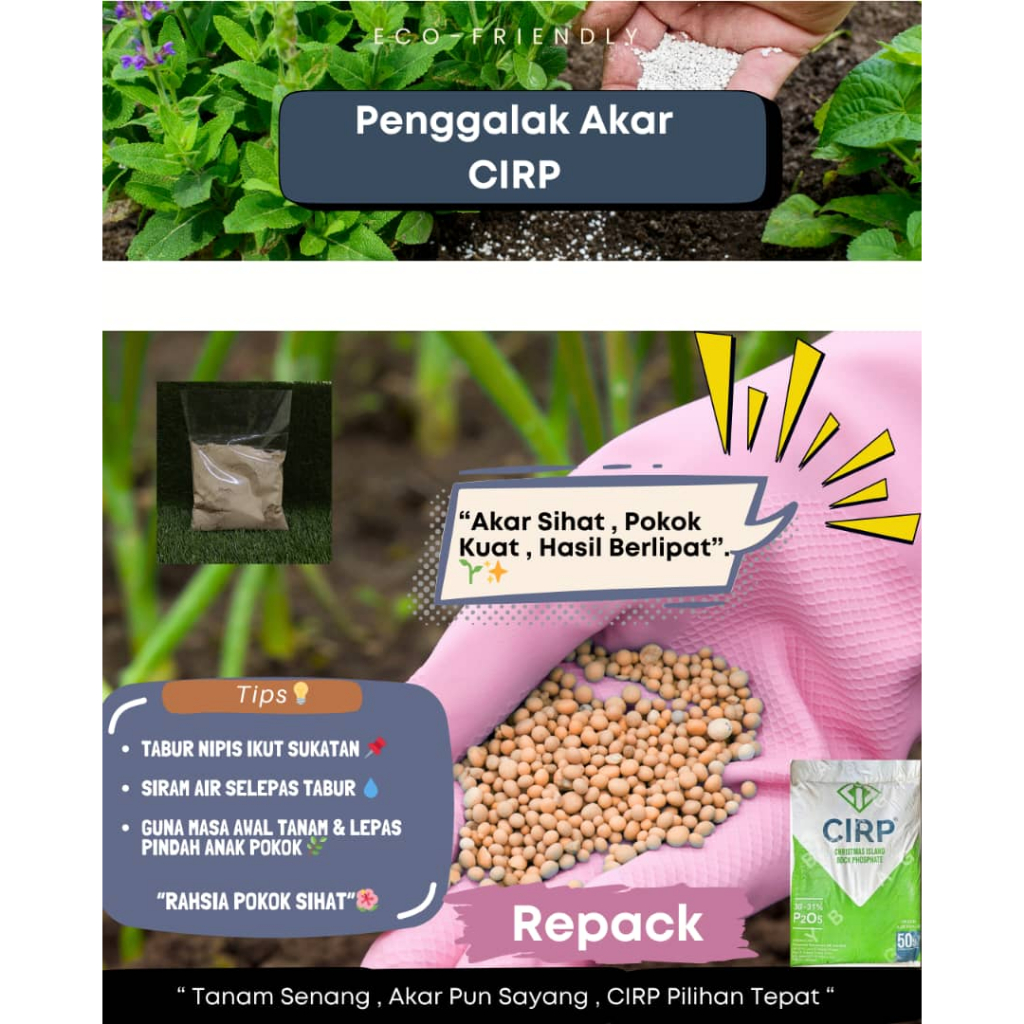 CIRP Penggalak Akar Eco-Friendly Baja untuk Akar Sihat Pokok Kuat Hasil ...