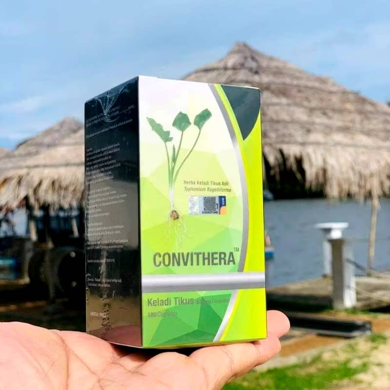 Herba Keladi Tikus By Convithera Original HQ 100% ( Hologram KKM ) (H1 ...
