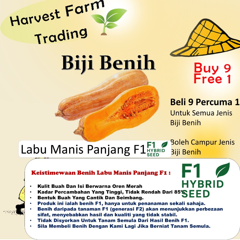 Biji Benih Labu Panjang Manis F1 5Pcs +- pumpkin seed fruit seeds ...