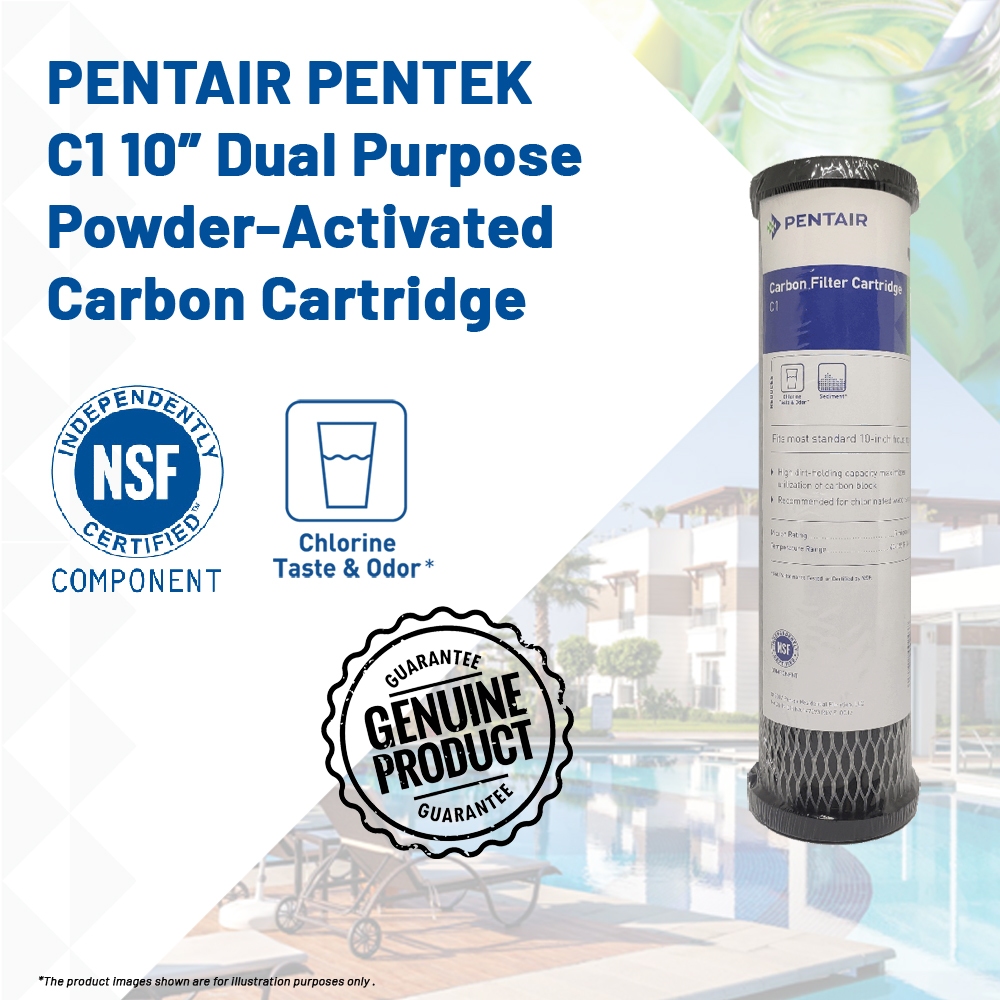 PENTAIR PENTEK 155002-43 C1 10inch Carbon Filter Cartridge for Slim ...