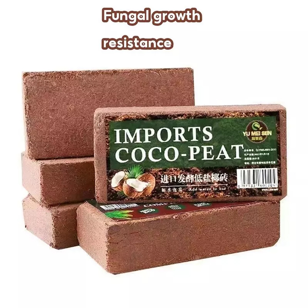 Outdoor Sabut Kelapa Cocopeat High Quality Coconut Fiber Block Kelapa ...