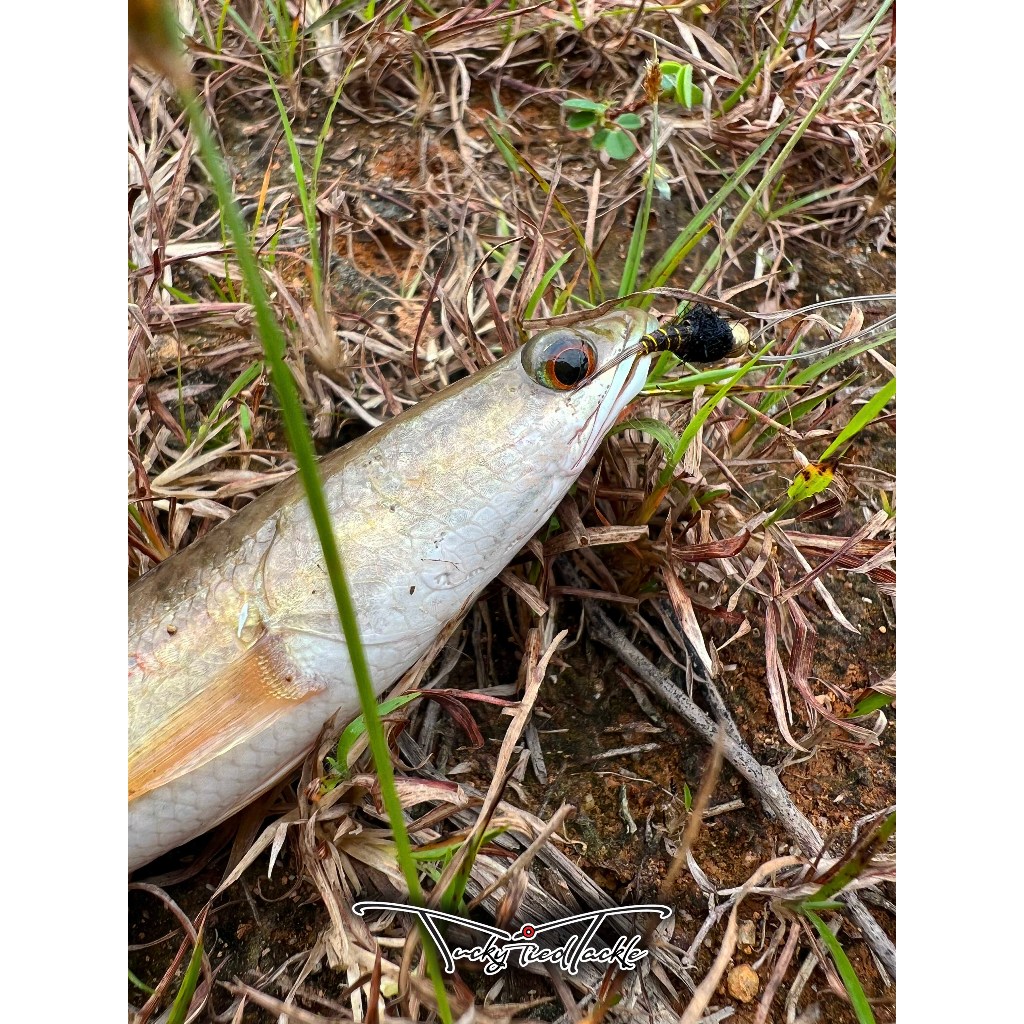 Simple Nymph pattern for Fly Fishing lure LALAT umpan pancing layang ...