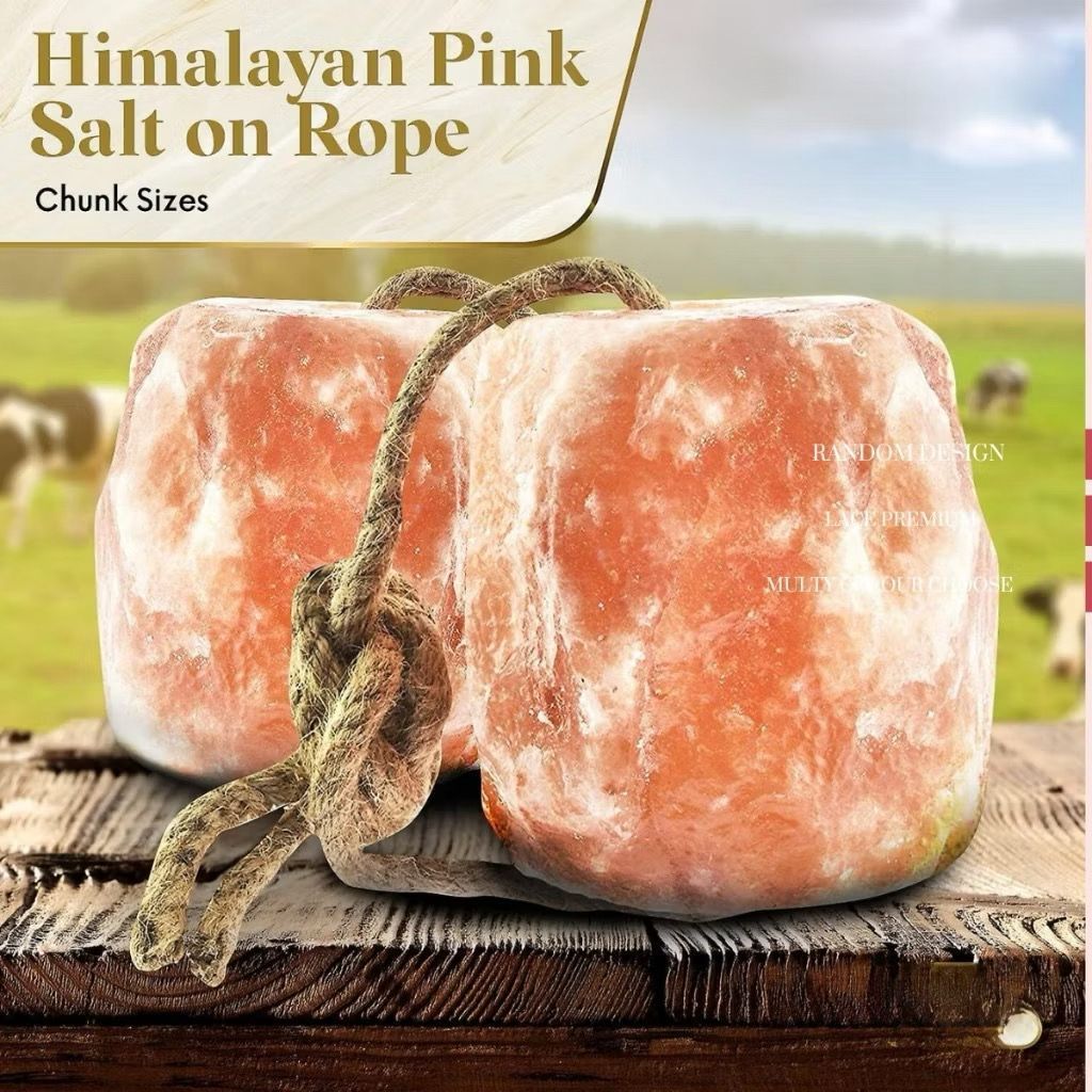 ANIMAL SALT LICK HIMALAYAN BLOCK / Garam Jilat Untuk Haiwan Ternakan 2 ...