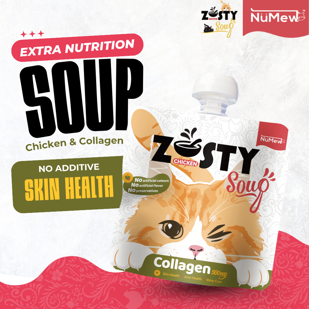 Numew Zesty Soup 80g - Chicken & Collagen 500mg | Shopee Malaysia
