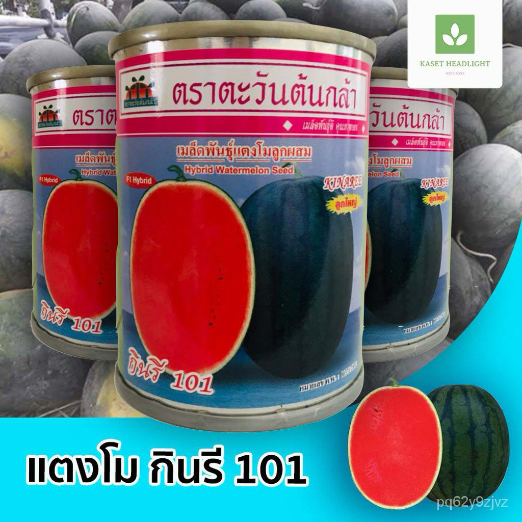 Tin 40g KINAREE 101 Advance Seeds Biji Benih Tembikai Madu Merah F1 ...