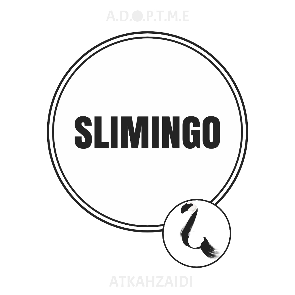 2025 LATEST | SLIMINGO pc online adm games | legendary | Shopee Malaysia