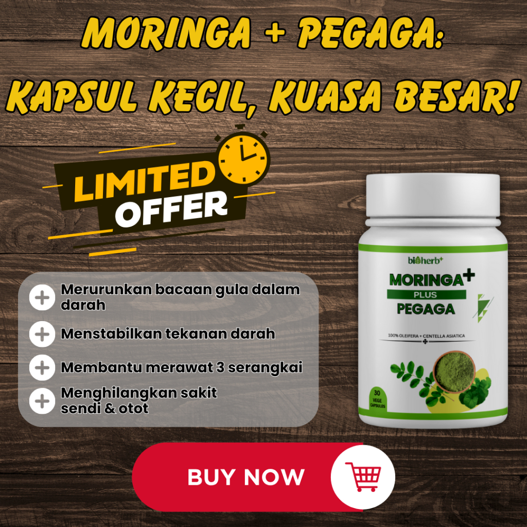 Moringa + Pegaga Bioherb Daun Kelor Membantu Darah Tinggi, Kencing ...