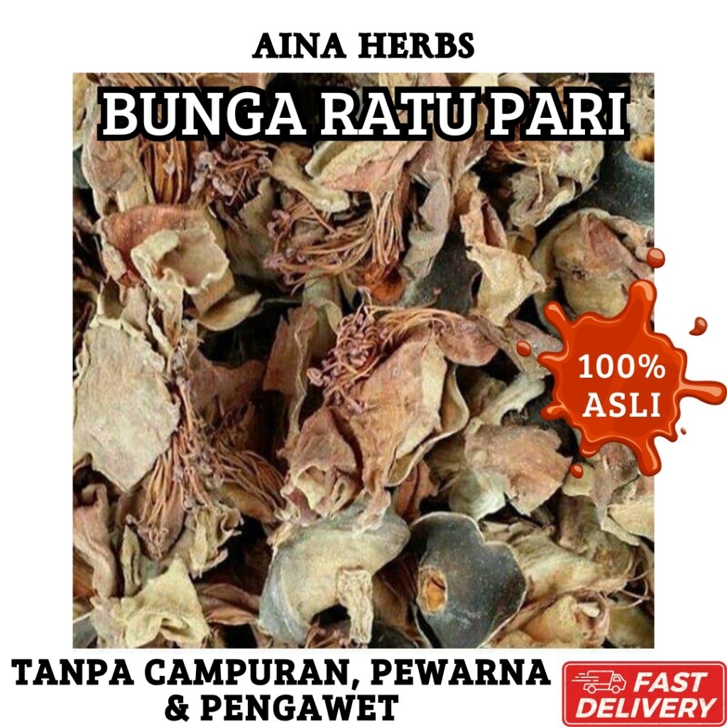 HSK BUNGA MUKMIN BUNGA RATU PARI BOMBAX CEIBA DRY FLOWER TEA 100% HERBA ...