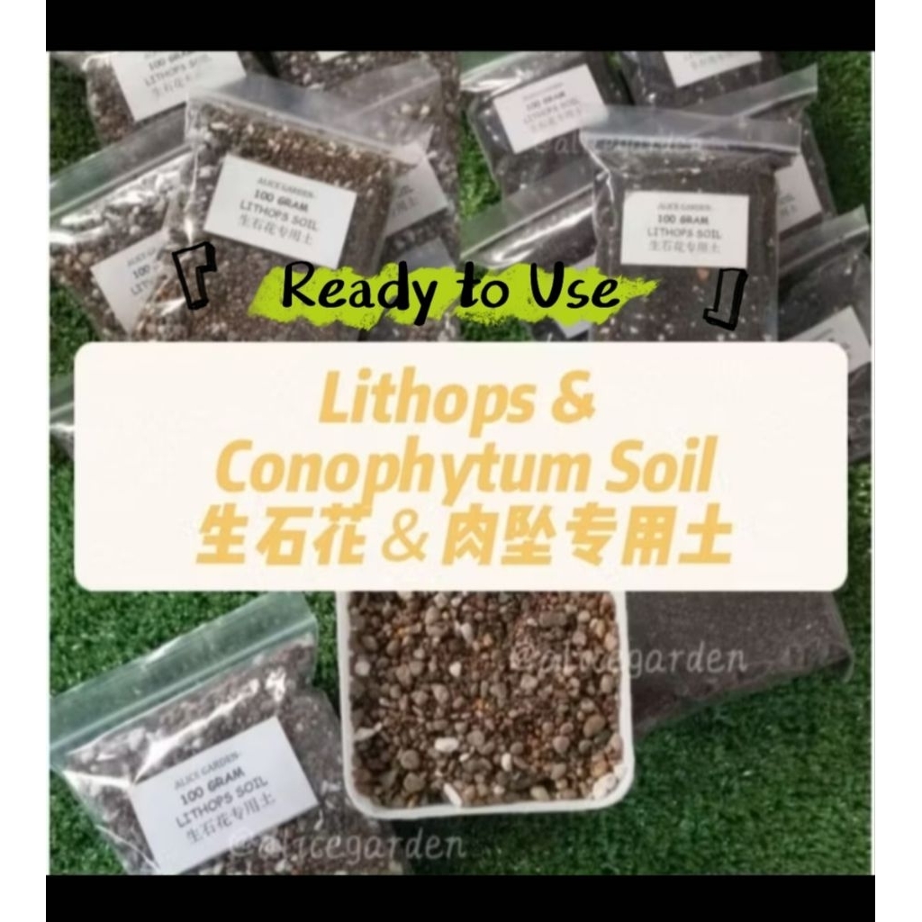 Lithops soil conophytum soil ready to use 屁屁生石花肉坠专用土 1 PACK 100gram ...