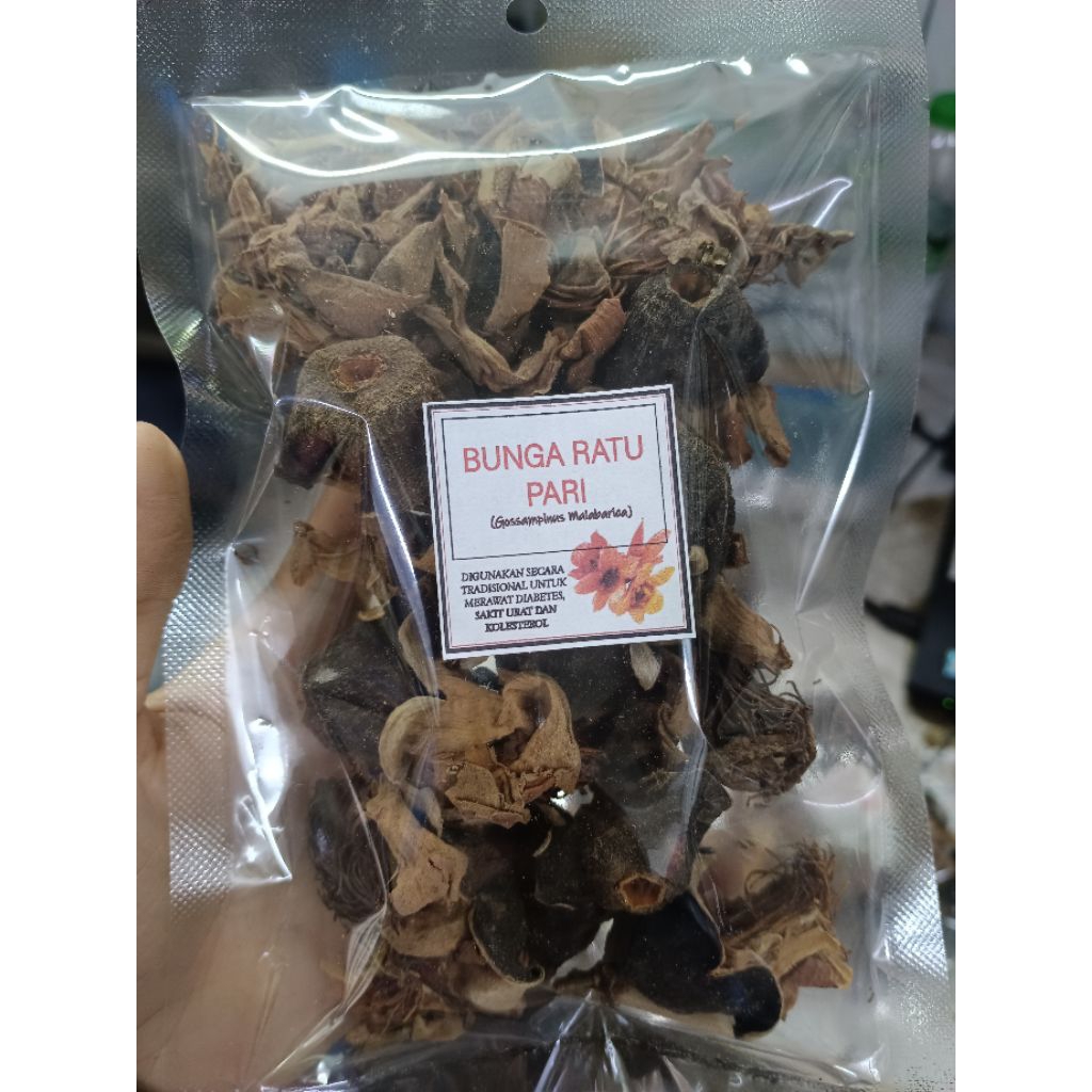 BUNGA RATU PARI | BUNGA MUKMIN | GOSSAMPINUS MALABARICA | 40G | Shopee ...