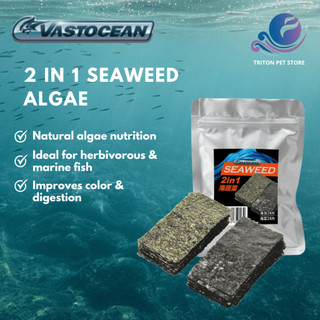 Vastocean Seaweed 2-in-1 tang Fish Algae Food 🐠 海藻饲料 Rumpai Laut ...