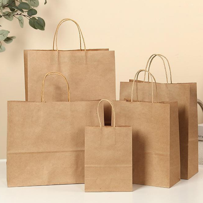 50pcs [Ready Stock] Bag Eco Hanger Paper Bag Kraft Paper Bag Retail Bag ...