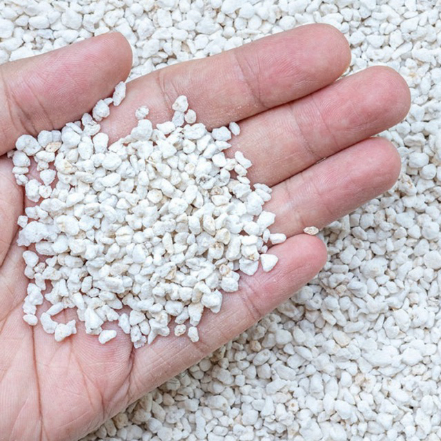 RHAFflora | Perlite 5L prewashed dibasuh | dust-free (3-6mm) | Aroid ...