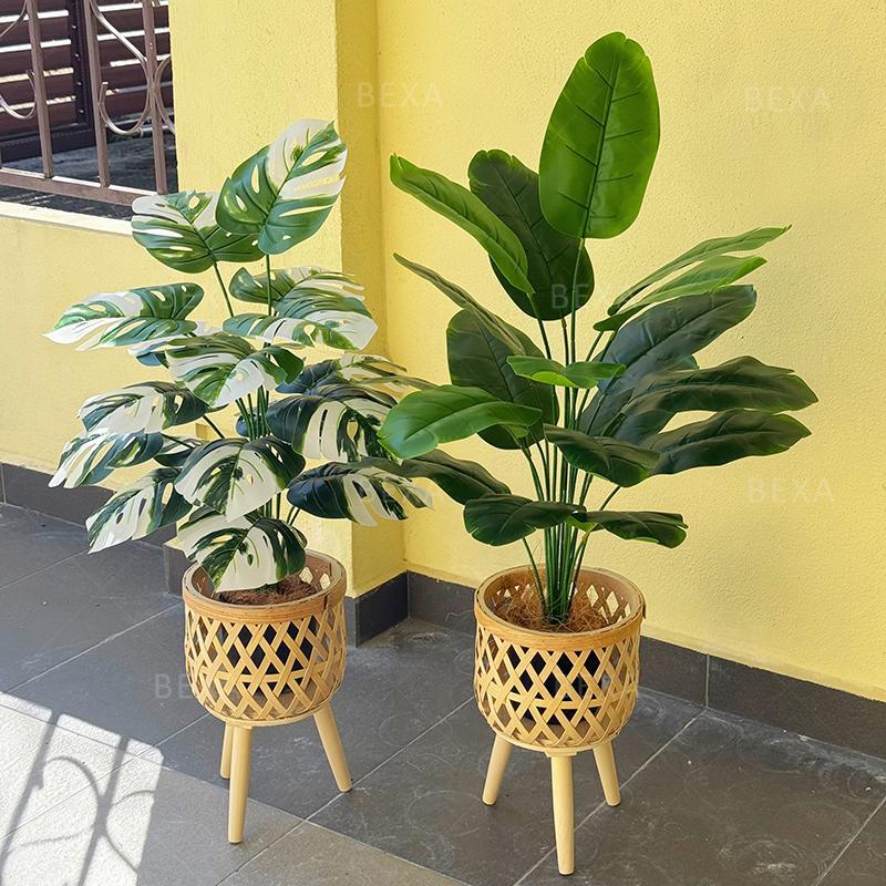 95cm-120cm Pokok Hiasan Dalam Rumah（PASU BUNGA ROTAN FREE）Pisang Belang ...
