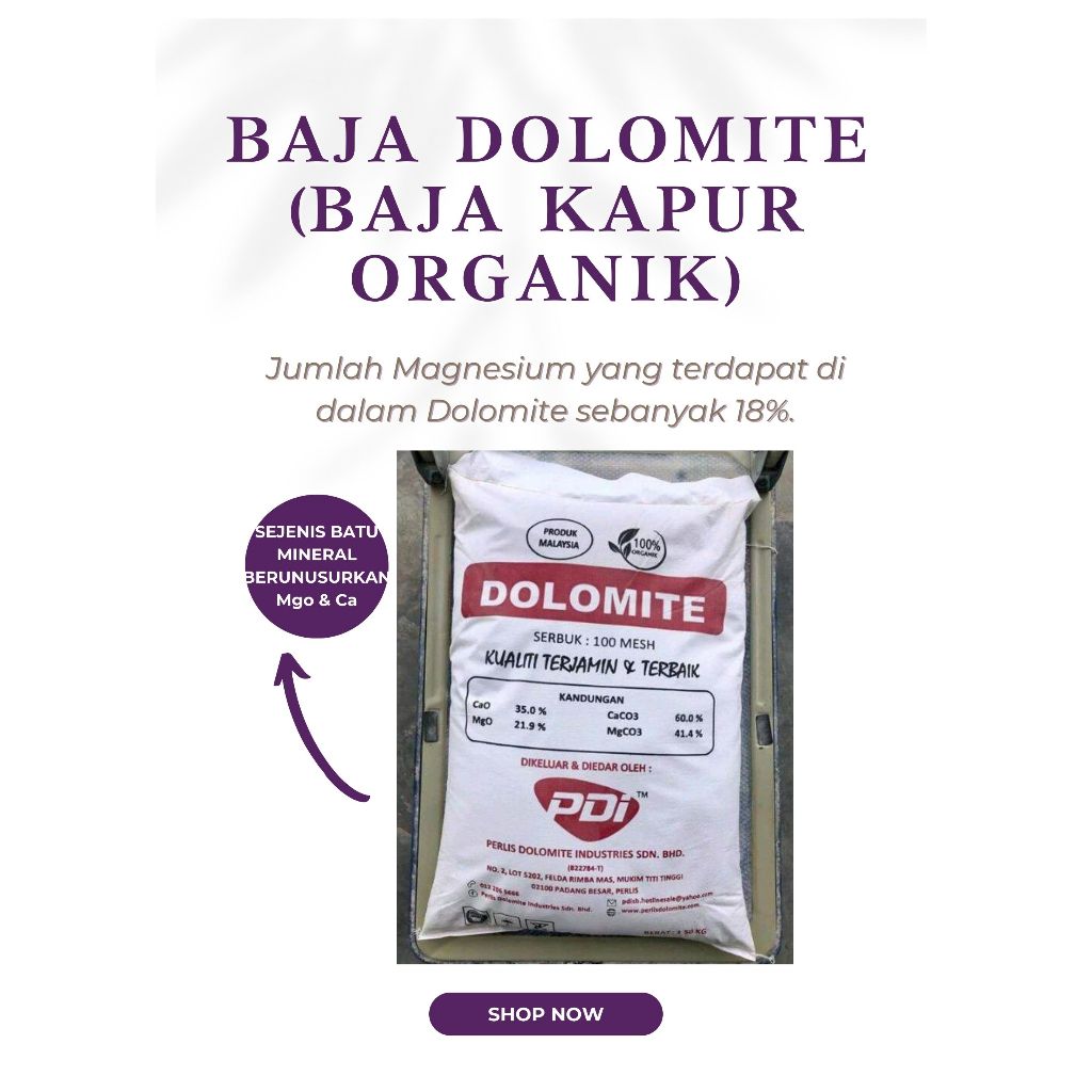 DOLOMITE PDI BAJA KAPUR PERLIS MEMULIHKAN TANAH (1KG/2KG) | Shopee Malaysia