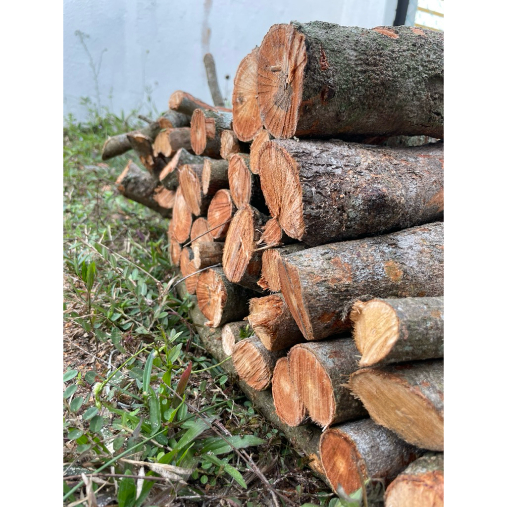 Kayu Api Camping / BBQ (Pokok Rambutan) | Shopee Malaysia