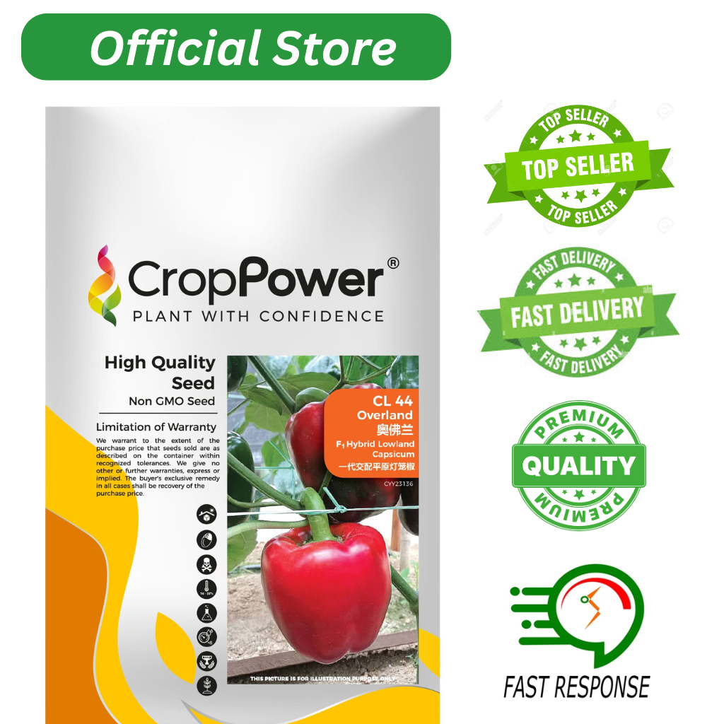 Repack CROP POWER SEEDS/BIJI BENIH F1 HYBRID CAPSICUM (CL 44) | Shopee ...