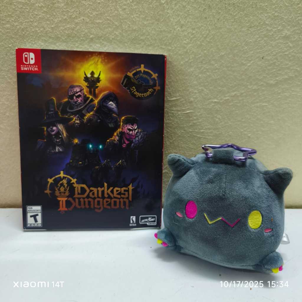 NINTENDO SWITCH DARKEST DUNGEON 2 USED PHYSICAL | Shopee Malaysia