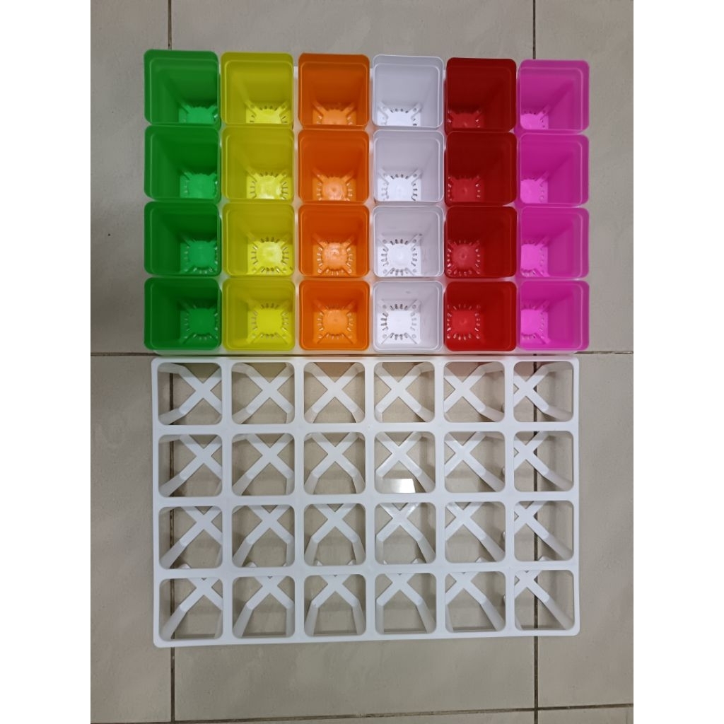 Seeding Tray 24 Holes/Pasu Semaian 24 Lubang/育苗盘24孔/Tapak Semaian Biji ...