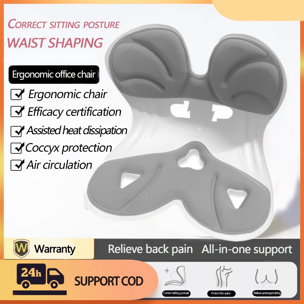 Ergonomic Posture-Correcting Lumbar Support Chair Back Support Chair ...