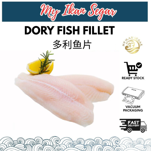 Premium Dory Fillet 多利鱼片 550g-600g DORY FILLET FROZEN 鱼片多利鱼 IKAN DORY ...