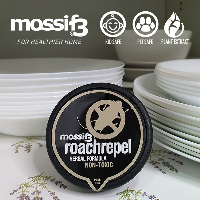 Mossif3. Natural Cockroach Repellent for Car, Cabinets, and Kitchen ...